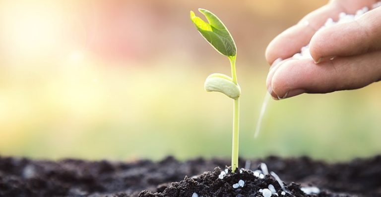 Compacting Soil: Why It Is Important And How To Do It Right ...